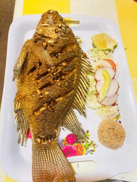 San Cristobal: Sumidero Canyon and Botanero Restaurant Tour - The Private Tour Experience: Personalization and Comfort