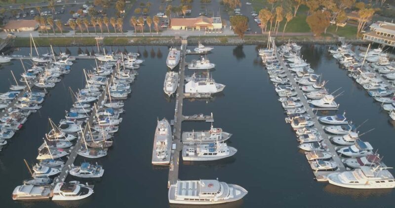 San Diego: 3 Hour Whale Watching Cruise - Introduction