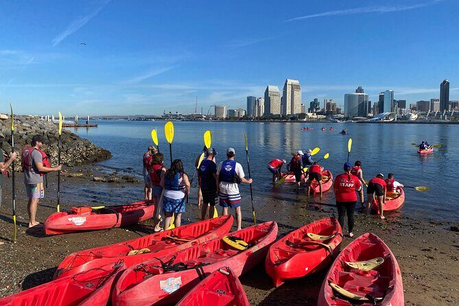 San Diego Bay 1.5-Hour Guided Kayak Tour in Coronado - The Value of This Tour