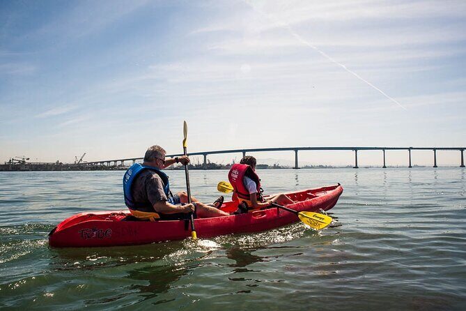 San Diego Bay 1.5-Hour Guided Kayak Tour in Coronado - Practical Tips for Your Kayaking Adventure