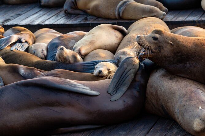 San Diego Day Tour from Orange County - An Honest Look at the San Diego Day Tour from Orange County