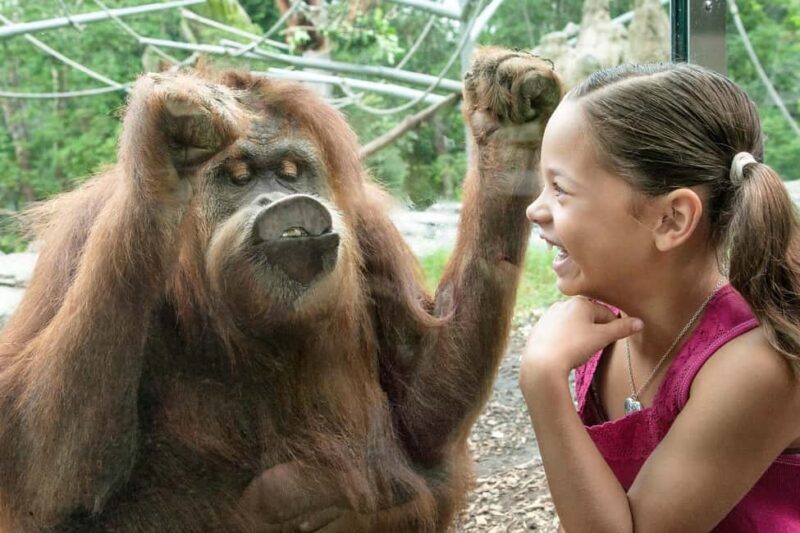 San Diego: Go City Essentials Pass - Who Will Love the San Diego: Go City Essentials Pass?