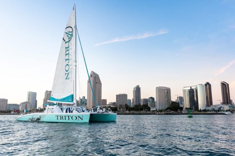 San Diego Harbor Cruise: 2.5 hour Catamaran Cruise - The Sights You’ll See