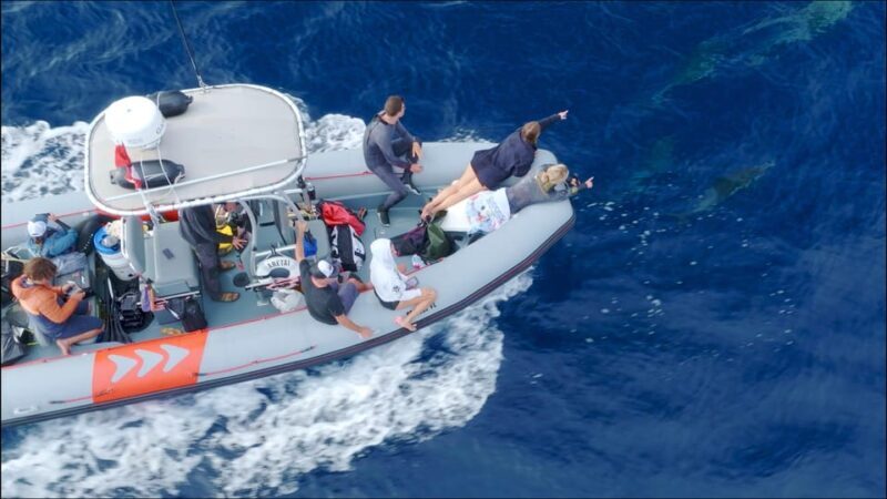 San Diego Ocean Safari: 6-Hour Snorkel Adventure! - What to Expect on Your Ocean Safari