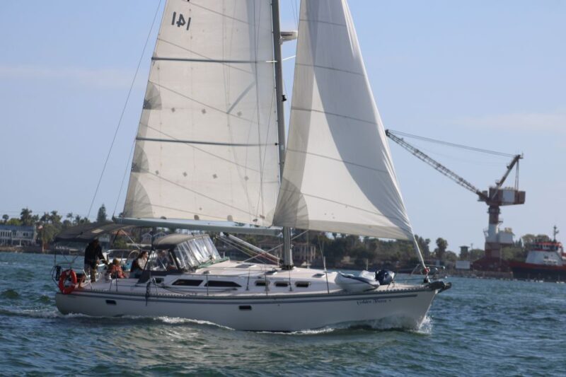 San Diego: San Diego Bay Sunset & Daytime Sailing Experience - The Sum Up