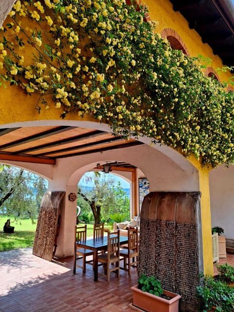 San Felice: Olive Oil Tasting with local food on Garda Hills - Key Points