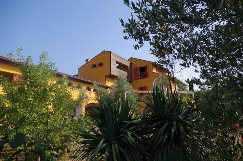 San Felice: Olive Oil Tasting with local food on Garda Hills - Exploring the Olive Oil Tasting Experience