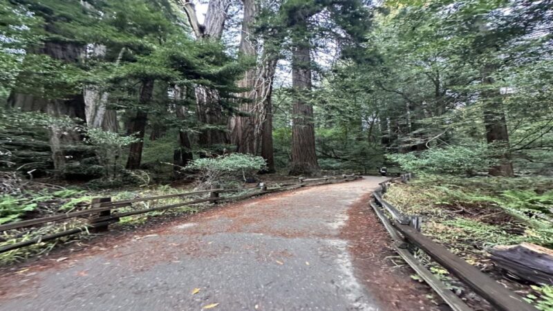 San Francisco: Alcatraz, Muir Woods and Sausalito Day Tour - Value for Money