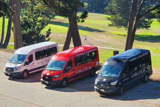 San Francisco Bay Cruise, Muir Woods and Sausalito Combo Tour - Who Will Love This Tour?