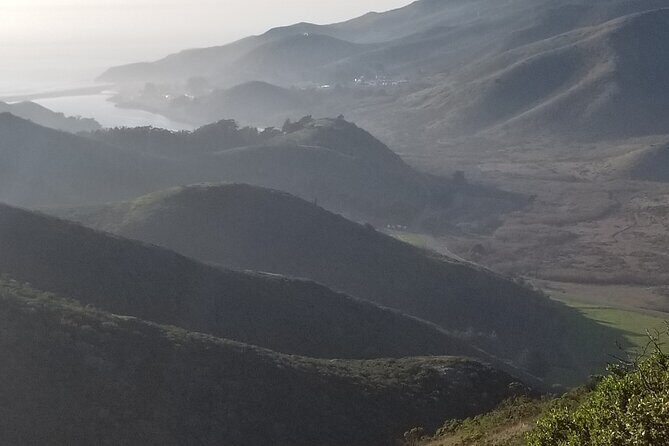 San Francisco Bay Cruise, Muir Woods and Sausalito Combo Tour - FAQ