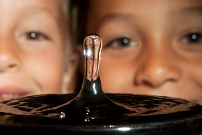 San Francisco Exploratorium Ticket: 700+ Hands-On Exhibits - What to Expect at the Exploratorium