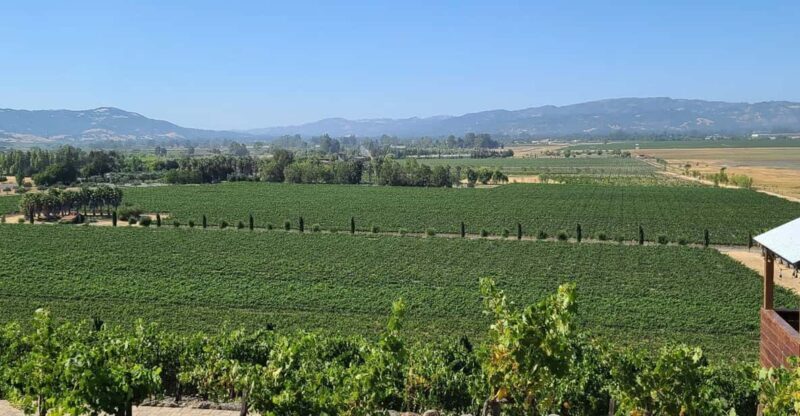 San Francisco: Half-Day Wine Tour with 2 Tastings Included - Exploring the San Francisco Half-Day Wine Tour with 2 Tastings Included