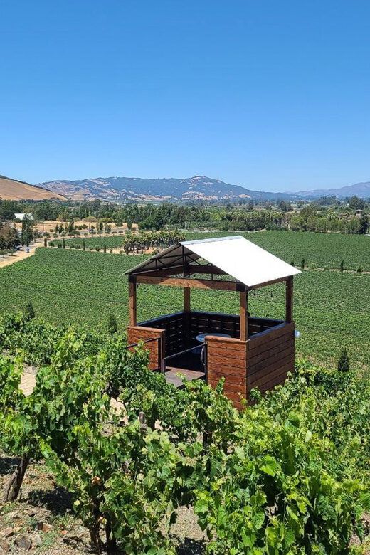 San Francisco: Half-Day Wine Tour with 2 Tastings Included - Real Experiences: Insights from Travelers