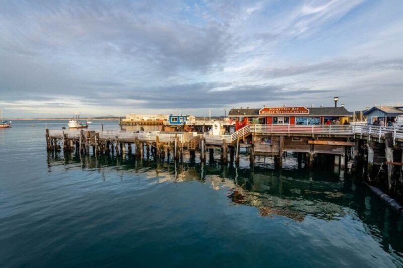 San Francisco: Monterey and Carmel Day Tour - Engaging Introduction