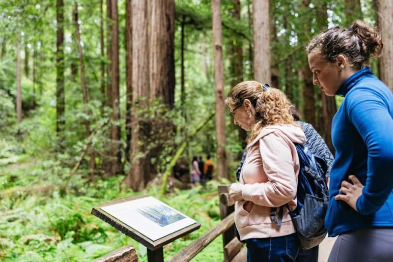 San Francisco: Muir Woods & Sausalito Tour with Ferry Option - Exploring the Itinerary and Highlights