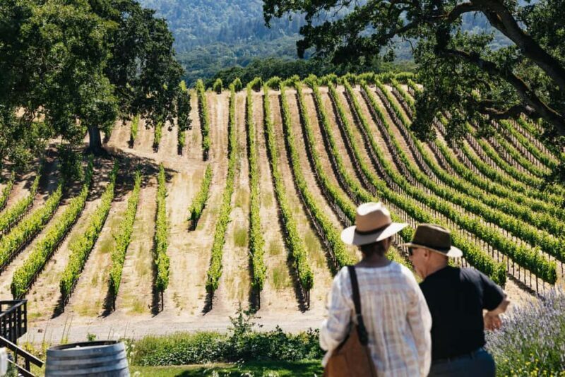 San Francisco: Napa and Sonoma Valley Wine Tour - Authentic Experiences and Real Guest Insights