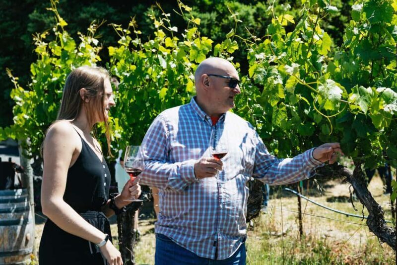 San Francisco: Napa and Sonoma Valley Wine Tour - Who Should Book This Tour?