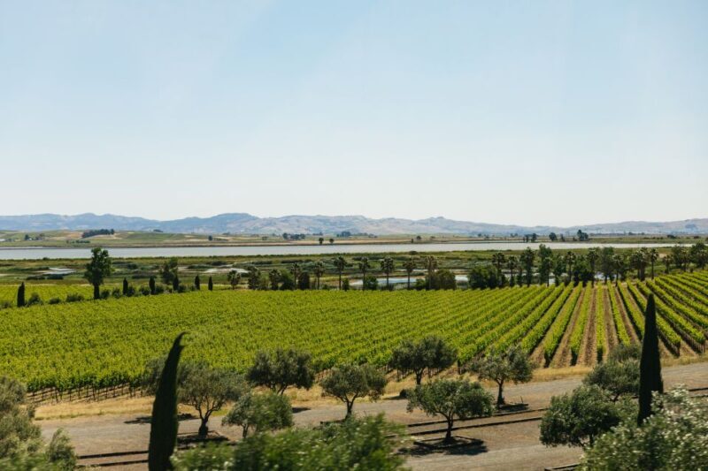 San Francisco: Napa and Sonoma Valley Wine Tour - Frequently Asked Questions