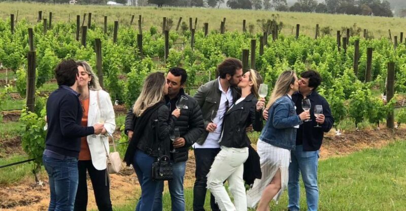 San Francisco: Napa Valley Half-Day Wine Tour with Tastings - What to Expect on the Napa Valley Half-Day Tour