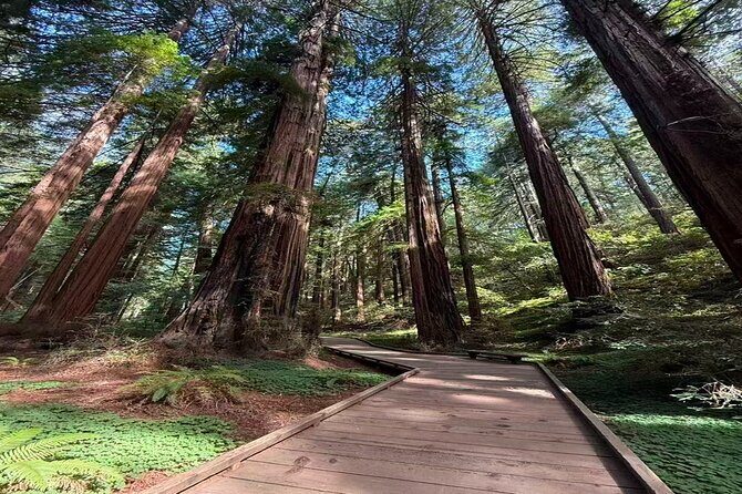 San Francisco, Redwoods & Sausalito: A Scenic Small-Group Escape - A Closer Look at the Itinerary