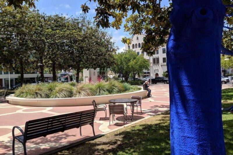 San Francisco: Silicon Valley Private Tour with Transfers - The Itinerary in Detail