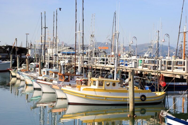 San Francisco Ultimate City Tour with Bay Cruise Option - What Past Travelers Say