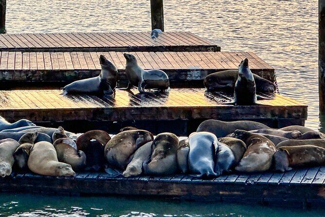 San Francisco's Fisherman's Wharf Self Guided Walking Tour - Off-the-Beaten-Path Spots