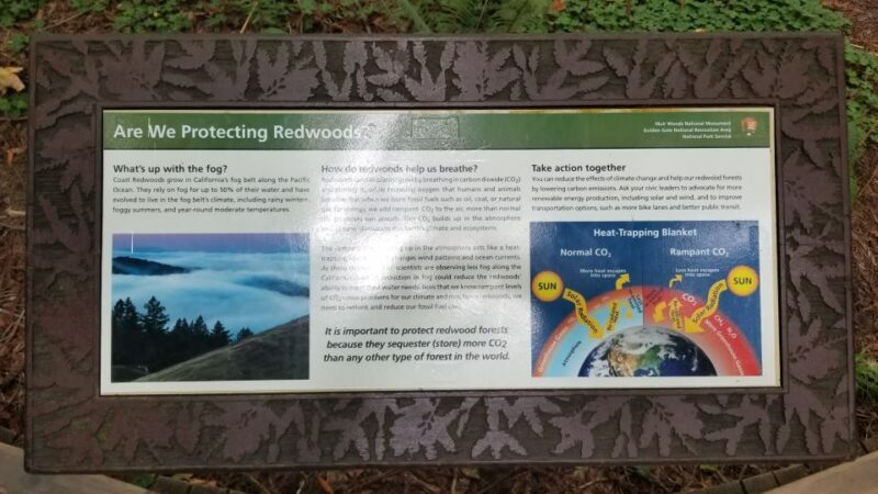 San Fransico: Muir Woods & Marin Headlands Private Tour - An Overview of the Tour Experience