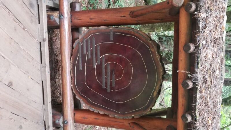 San Fransico: Muir Woods & Marin Headlands Private Tour - Practical Details and What to Expect