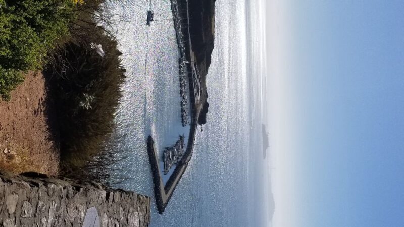 San Fransico: Muir Woods & Marin Headlands Private Tour - Who Will Love This Tour?