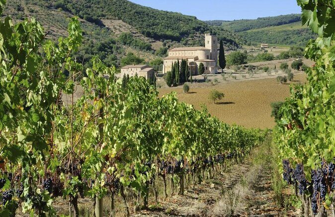 San Gimignano, Chianti and Montalcino Tour through Tuscan wine - Key Points