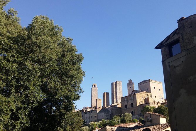 San Gimignano: Chianti wine tasting - An In-depth Look at the Tour