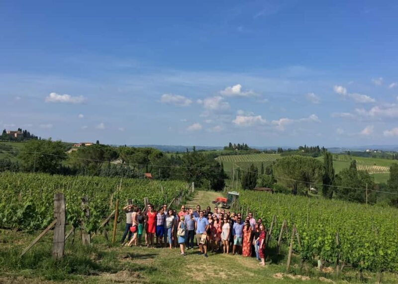 San Gimignano: Premium Wine Tour with Lunch - Key Points