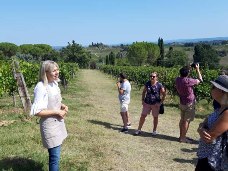 San Gimignano: Premium Wine Tour with Lunch - A Closer Look at the Experience