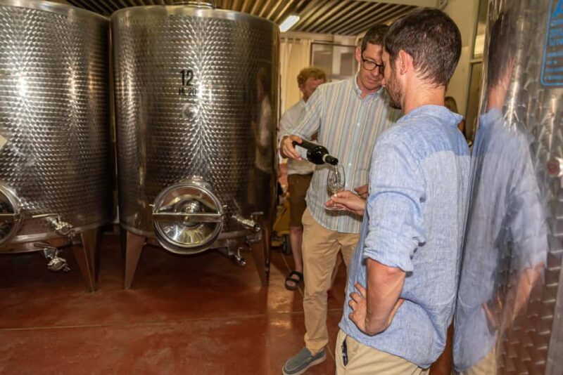 San Gimignano: Premium Wine Tour with Lunch - Who Will Enjoy This Tour?