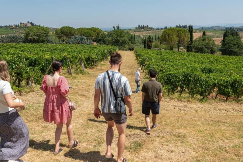 San Gimignano: Premium Wine Tour with Lunch - Final Thoughts