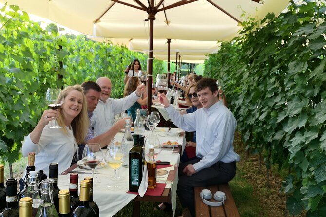 San Gimignano Romantic Dinner in the Vineyards - Who Should Book This Tour?