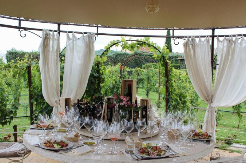 San Gimignano: Vineyard Walk with Wine Tasting in winery - Who Is This Tour Best For?