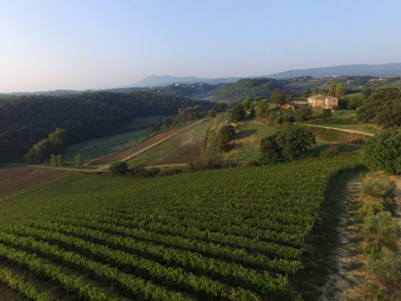 San Gregorio Tasting - An Inside Look at the San Gregorio Tasting Experience