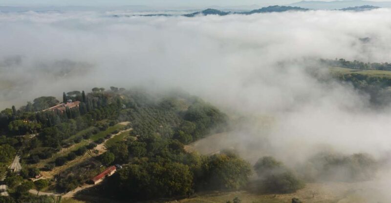 San Gregorio Tasting - Final Thoughts