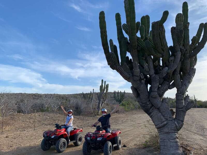 San José del Cabo: 2-Hour ATV Tour - An In-Depth Look at the 2-Hour ATV Tour Experience
