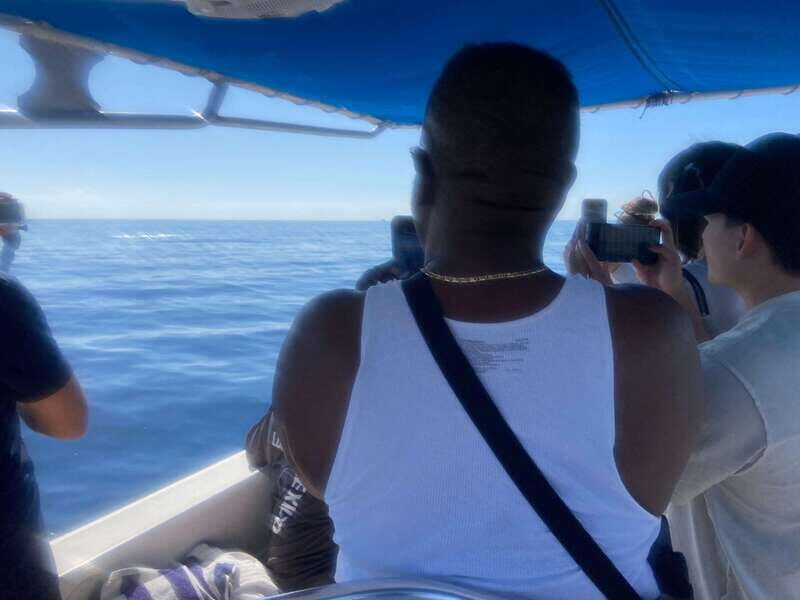 San José del Cabo: Ocean Safari - Who Will Love This Tour?