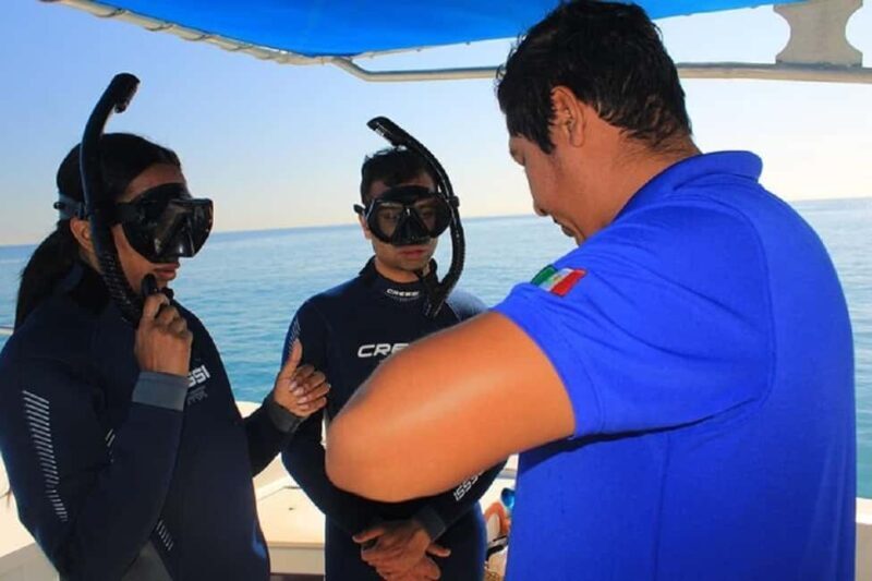 San José del Cabo: Private Snorkeling - Key Points