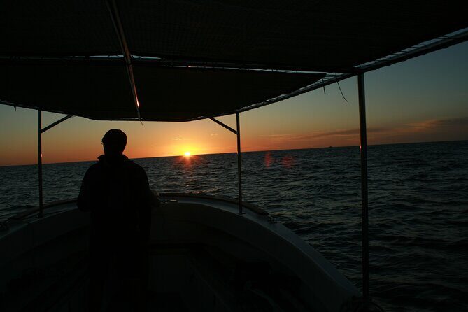 San Jose del Cabo Small-Group Sunrise Whale Watching - An In-Depth Look at the Whale Watching Tour