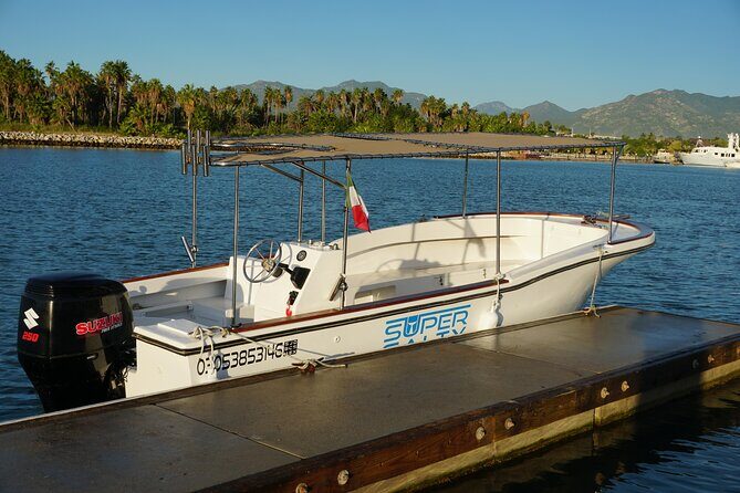 San Jose del Cabo Small-Group Sunrise Whale Watching - Frequently Asked Questions