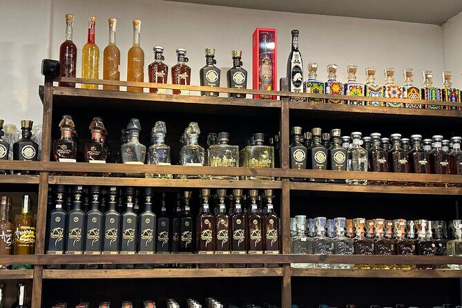 San Jose del Cabo- Tequila, Mezcal & Mixology Class - Key Points