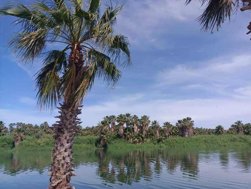 SAN JOSE GOLDEN - Final Thoughts