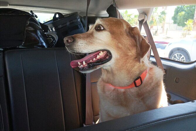 San Jose International Airport Private Transportation - Final Thoughts