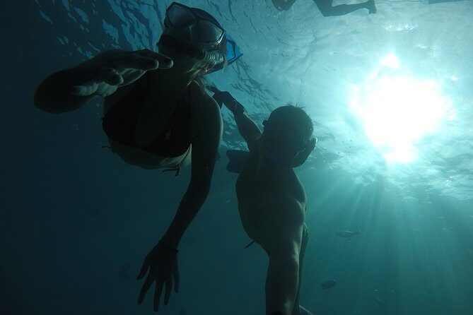 San Jose Wonders - Authentic Experiences from Reviewers