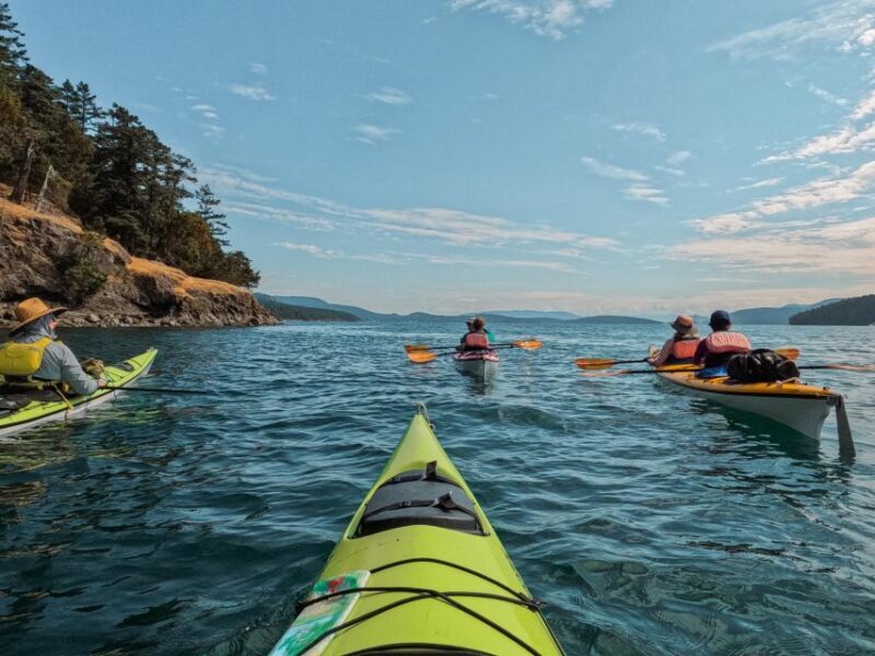 San Juan Island: 3-h Griffin Bay Tour - Practical Tips for Participants